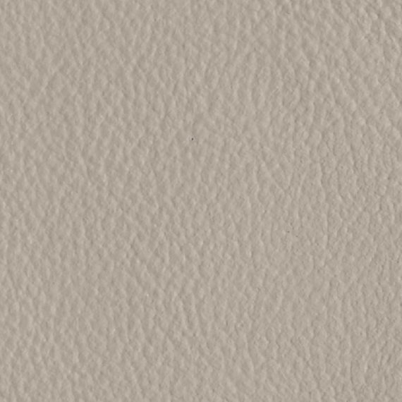 Leather – Casa International